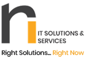 RNIT Solutions & Services Unlisted Shares Price