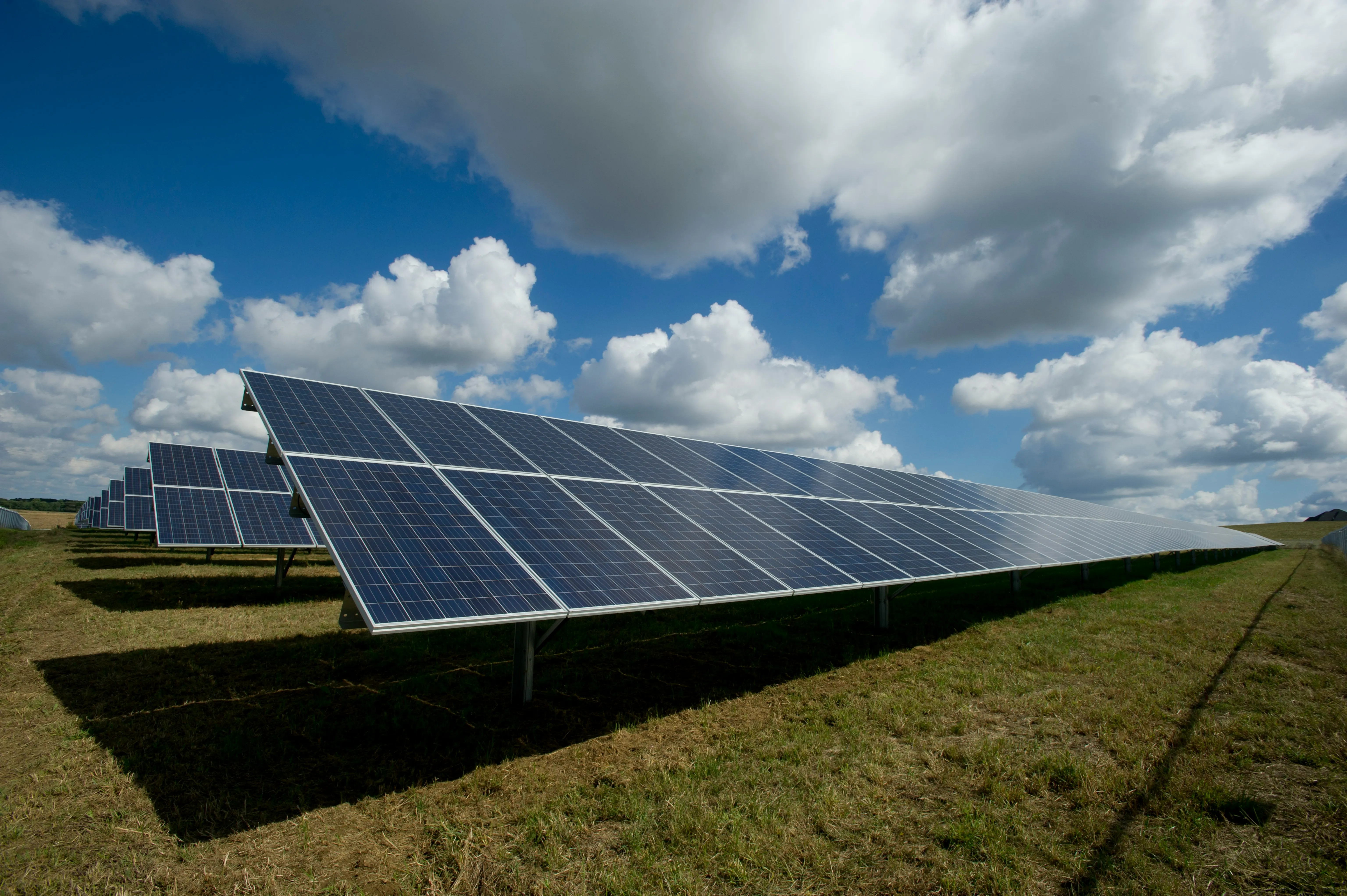Waaree Energies to Supply 280 MW Solar Modules to Mahindra